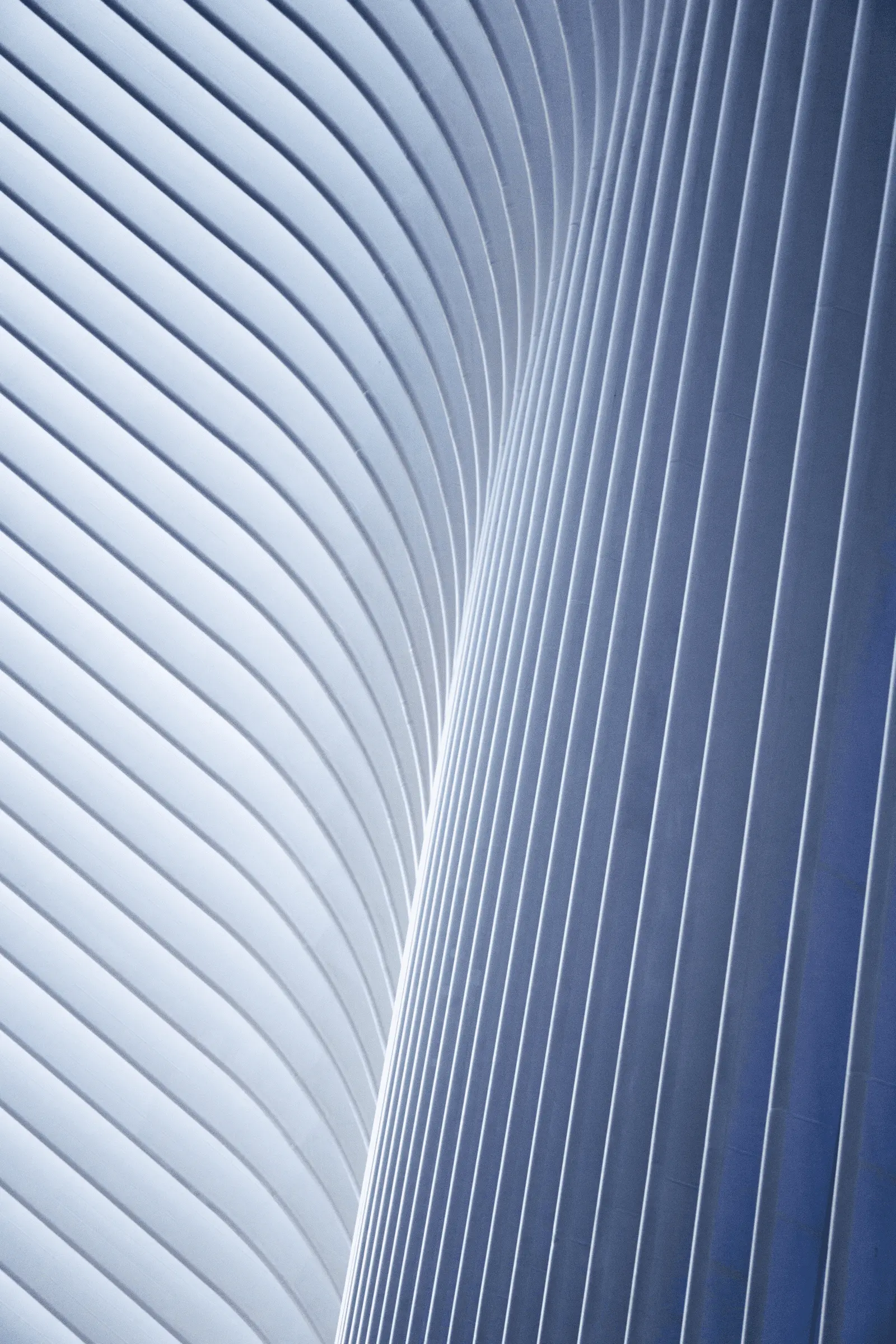 Pluribus Digital wins $82M Treasury TTB Modernization task | G2X FedCiv